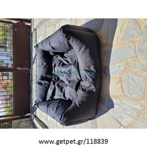 Κρεβάτι Hunter για σκύλο : Αγγελία 118839 : getpet.gr